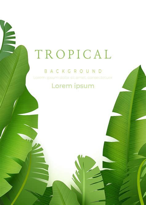 유토이미지 여름 열대 트로피컬 프레임 백그라운드 배경