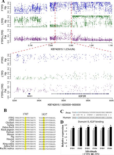 Artificial Selection Plos One