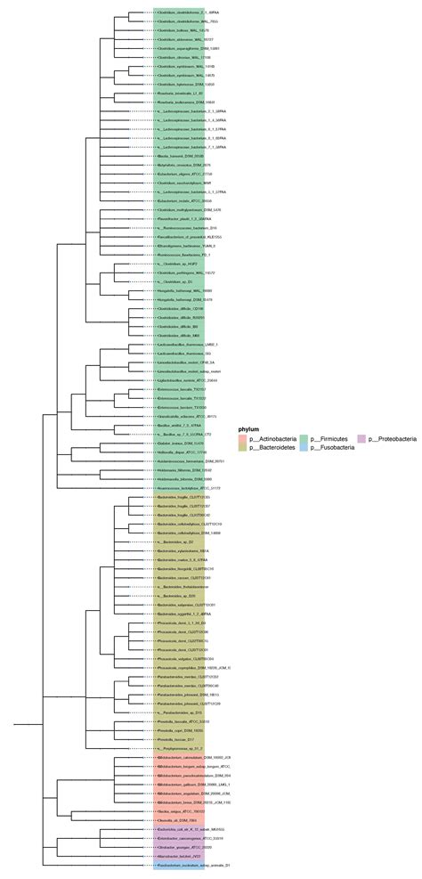 4 Input And Output Iphylo Tutorial