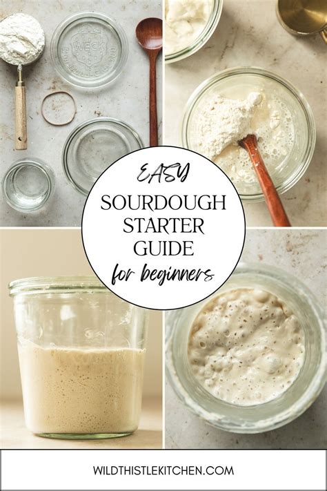 Best 13 Easy Beginner Sourdough Starter Artofit