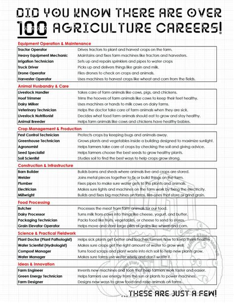 Tiny Tractor Make Stuff Move