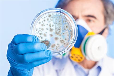 The Future Of Food Safety Detecting Pathogens Before They Cause Illness