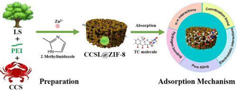 在木质素磺酸盐官能化聚乙烯亚胺 羧甲基壳聚糖杂化气凝胶上原位合成 Zif 8，有效去除四环素 Separation And Purification Technology X Mol