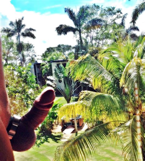 Gallery 6 Porn Pictures Xxx Photos Sex Images 1598084 Pictoa