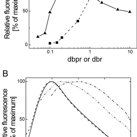 Pdf Investigations On Dna Intercalation And Surface Binding By Sybr
