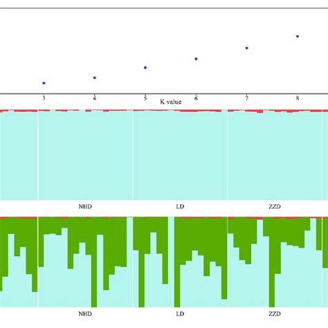 Admixture Analyses Of 80 Individuals Based On The Genome Wide