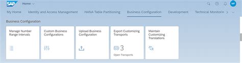 create business users configure roles and business configurations sap tutorials