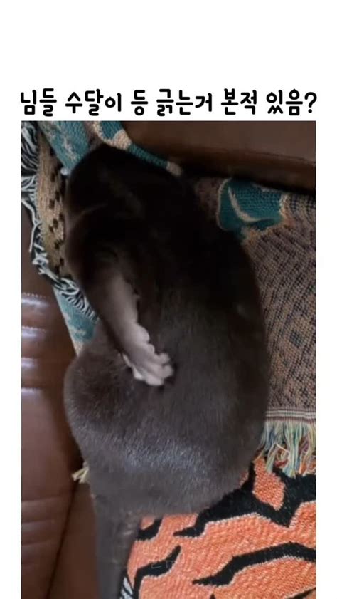 별유머 출처 Seunghukim16 Humorstar 👈 팔로우💛 💎최신 소식으로 매일매일 업로드💎 피드 문제 및 각종 문의 Dm주세요 릴스 쇼츠 웃짤