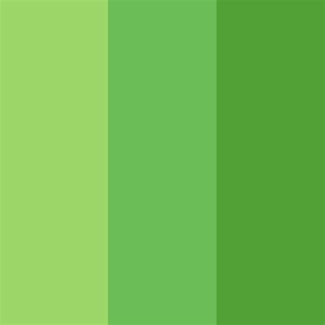 Rama Tulasi Color Palette Green Colour Palette Color Palette Color