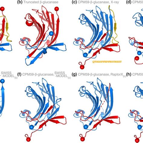 Modeling Of Proteins With 3d Domain Swapping Phenomenon Induced By Cp