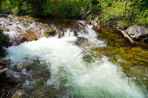 Clear Creek Brook River At Grand Teton National Park Stock Image