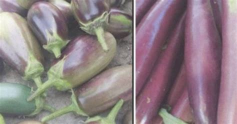 သုံးနှစ်သုံးမိုး အမြဲကိုက်နေတဲ့ ခြေထောက်လေး ဒီနည်းနဲ့မှ ပျောက်တော့တယ်