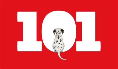 regular expression 101 a simple tool to learn regular… by haitian wei medium