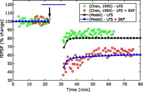 Quantitative Comparison Between The Model Predicted And Experimentally