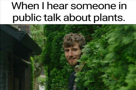 Twenty Nine Plant Memes For Lovers Of Botany Plant Jokes Gardening Memes Memes