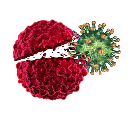 Oncolytic Virus Driven Combination Immunotherapy Shows Promise In Colorectal Cancer Bioxcell