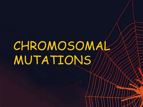 Mutation Types Chromosomal And Gene Mutation Ppt Infertility Reproductive Health