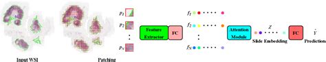 figure 1 from multi head attention based deep multiple instance