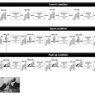Schematic Sequence Of Test Procedure Download Scientific Diagram