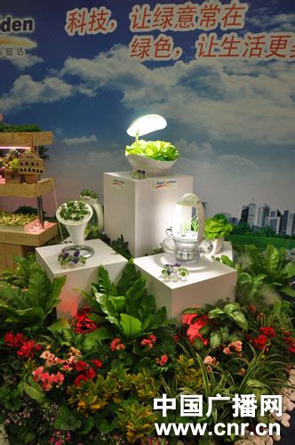 家庭植物工厂7000元 人工光植物工厂 家庭蔬菜工厂 第10页 大山谷图库