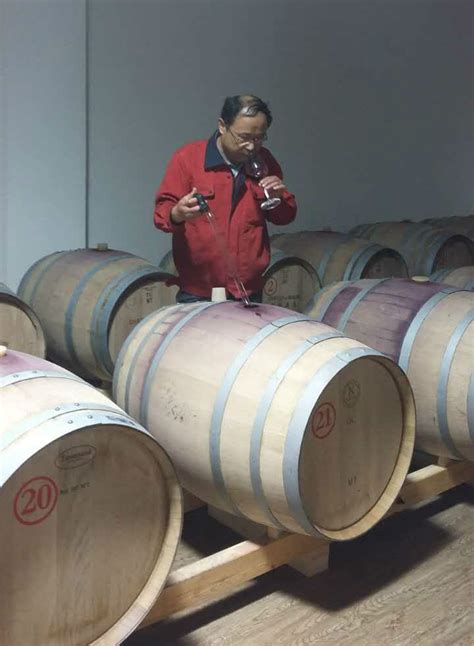 葡萄酒信息网china Wine Online