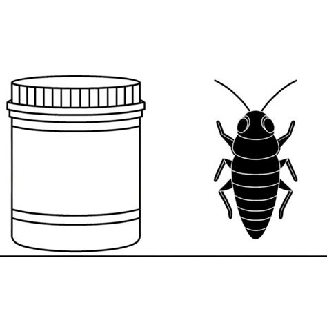 Are Bug Based Protein Powders Safe What Experts Say Might Surprise You