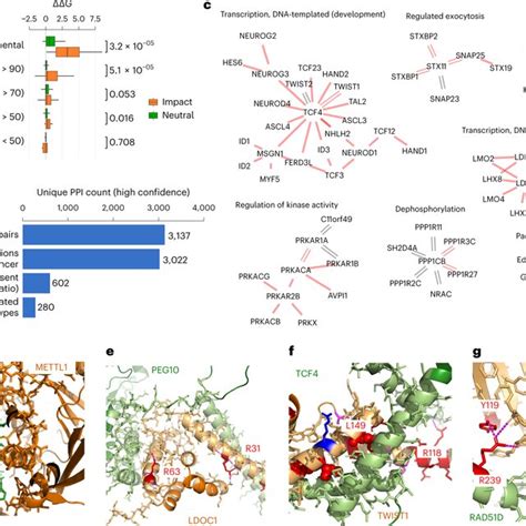 Disease Mutations At Protein Complex Interface Residues A Boxplot Download Scientific Diagram