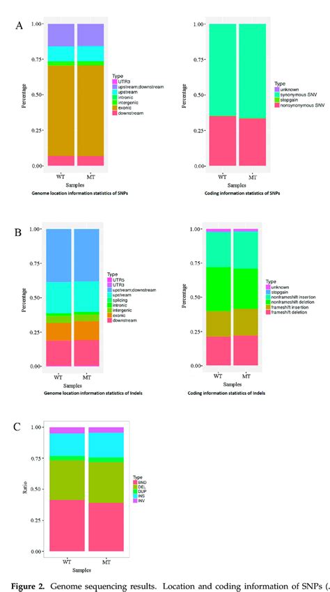 Genome Sequencing Results Location And Coding Information Of Snps A