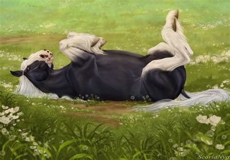 Rule 34 Animal Genitalia Anus Balls Black Anus Black Balls Black Body