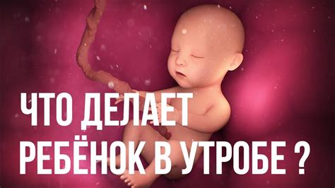 Чем Занимается Ребенок Пока Находится у Мамы в Животе… Youtube