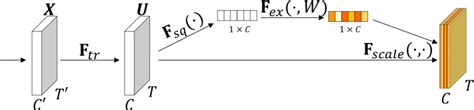 computation of the squeeze and excitation block following a cnn