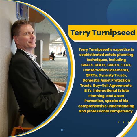 Portfolio Terry Turnipseed