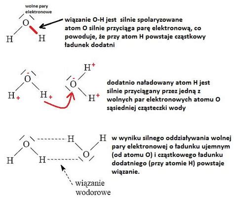 Co To Są Wiązania Wodorowe Zadania ściągi I Testy Zapytajonetpl