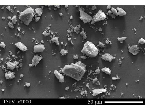 Figure 2 1 From Development Of Bioplastic Composite Films With Improved Antimicrobial Properties