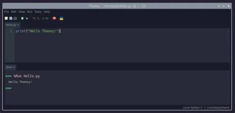 Guide Pour Bien Démarrer Avec Thonny Sur Raspberry Pi Raspberrytips