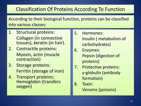 Protein Function Classification At Denise Reyes Blog