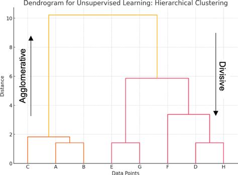 Hierarchical Clustering Practical Guide To Linkage Dendrograms And Distance