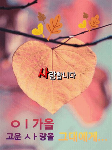 💖남의 얘기 함부로 하지 말라💖 캐시피드