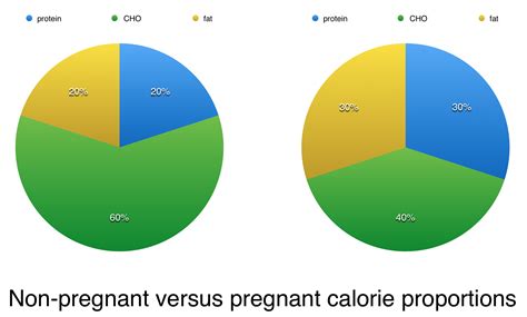 Nutrition In Pregnancy — Gina Nelson Md Obstetrics And Gynecology