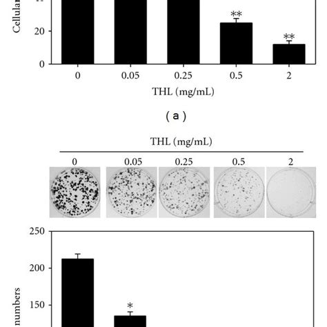 Thl Inhibited The Proliferation And Colony Formation Of Huh7 Sp Cells