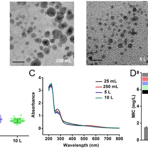 Effect Of Different Scales On The Properties Of Aunps A Tem Images Download Scientific
