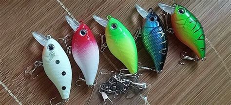 Best Setup For Crankbait Fishing 7 Tips And Tricks Lure Me Fish