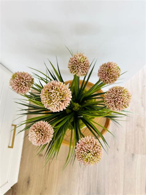 Allium Arrangement Pink And Green Stems In Elegant Planter Palms