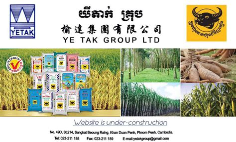 ឧកញ៉ាម្នាក់បោះទុនជាង ៣២លានដុល្លារ វេចខ្ចប់ចេកអំបូងលឿងនាំចេញ