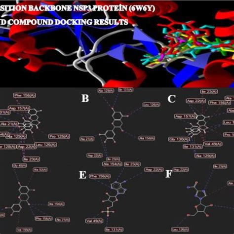 The Results Of Docking And Amino Acid Interactions From Hydrogen Bonds
