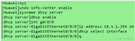 配置dhcp snooping实验 csdn博客
