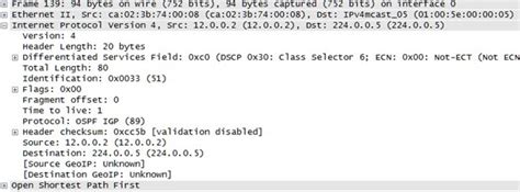 Ospf Ttl Security Check