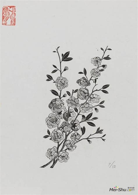 Mei Shu