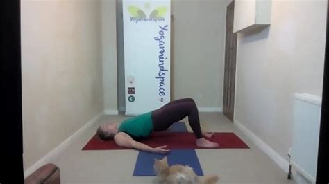 Spinal Segmentation Yogamindspace Spinal Segmentation Yogamindspace