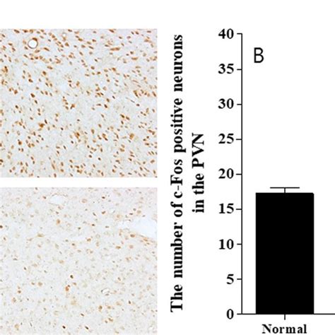 A The Mean ± Standard Error Of The Mean Sem Values Of Quantities Of Download Scientific